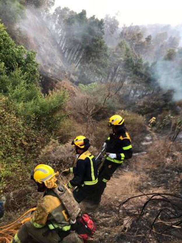 Los bomberos de Puerto Rico se unen al incendio | Canarias7