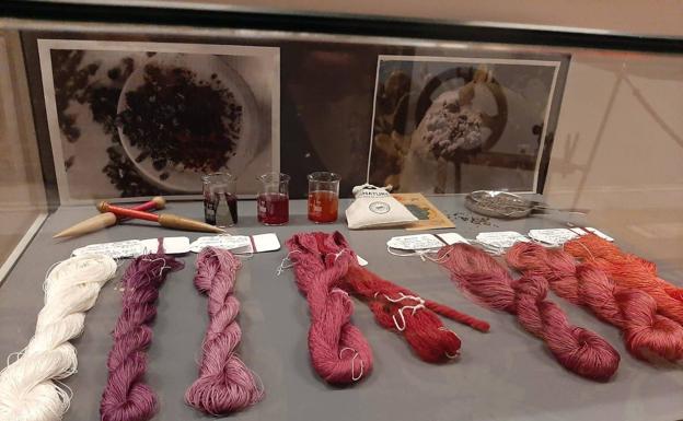 La cochinilla, tinte natural y sostenible, de nuevo en auge | Canarias7