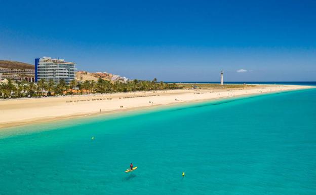 Explora estos 7 oasis y forma parte de algo extraordinario | Canarias7